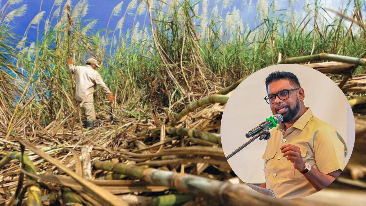 New management team for GuySuCo – President Ali – Televizyon Lakay