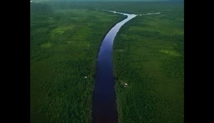 Fisherman feared dead following boat mishap – News Room Guyana