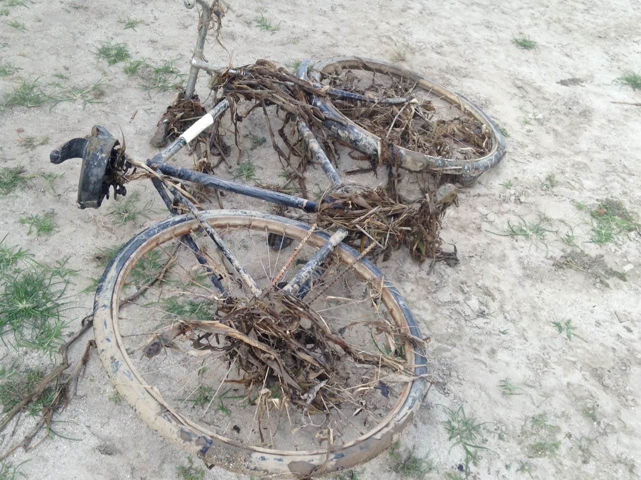 Police recover bicycle of missing Berbice boy - News Room Guyana