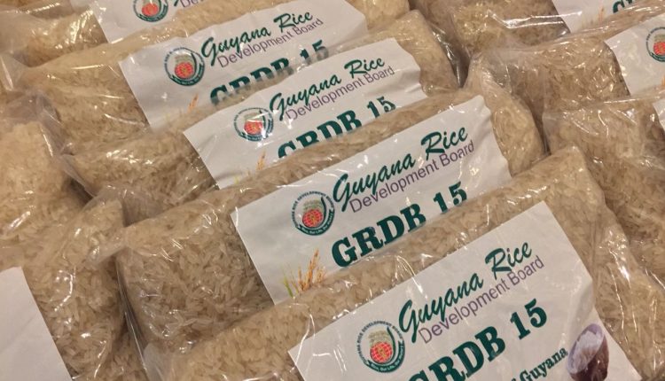 New ‘Guyana Pride’ rice variety to boost production - News Room Guyana