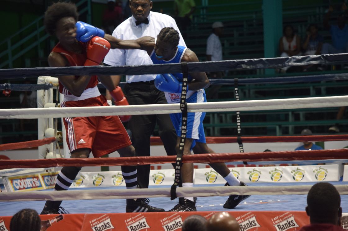 Guyanese boxers batter their way to Caribbean title – News Room Guyana