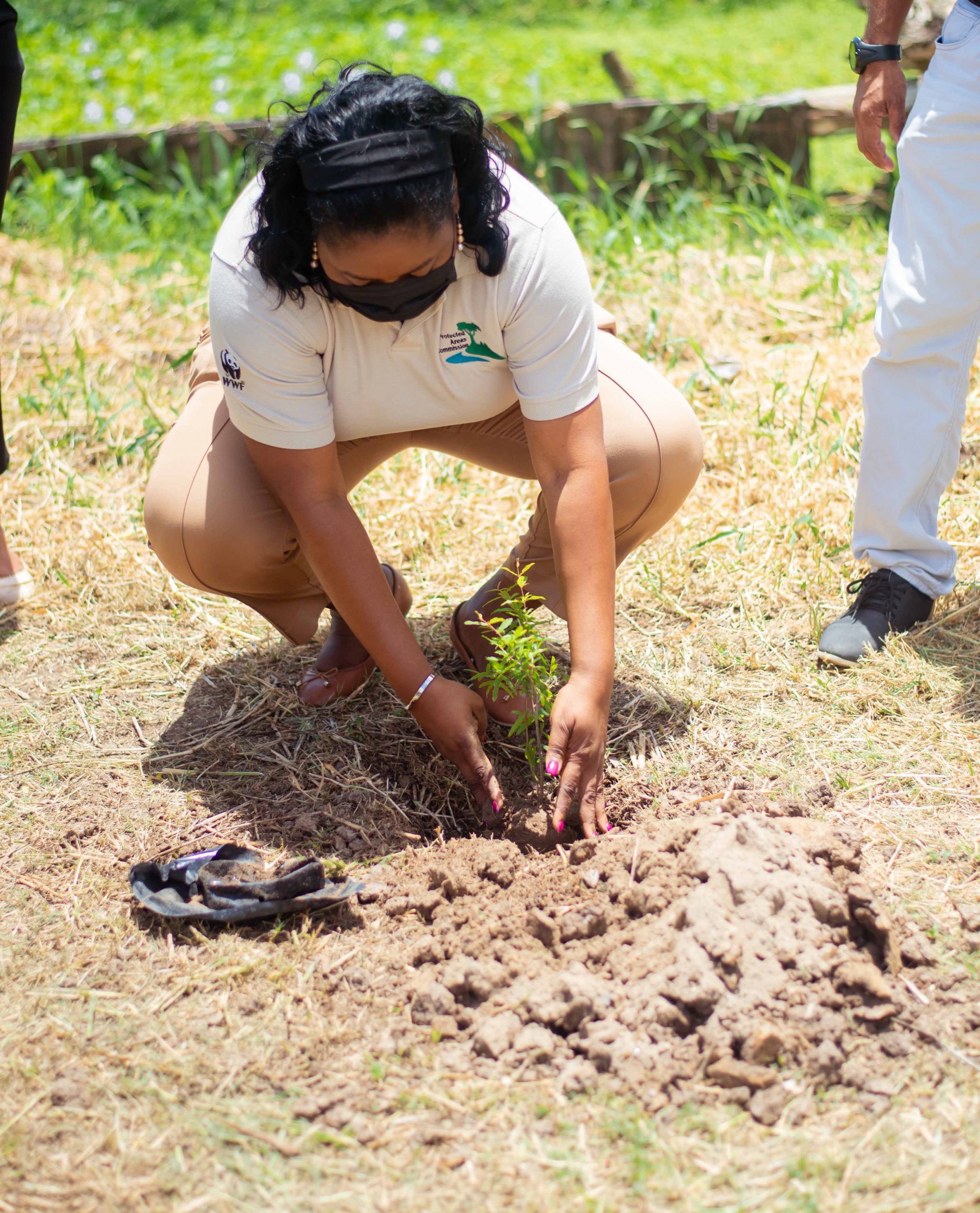 First Lady launches national tree planting exercise on Earth Day - News ...