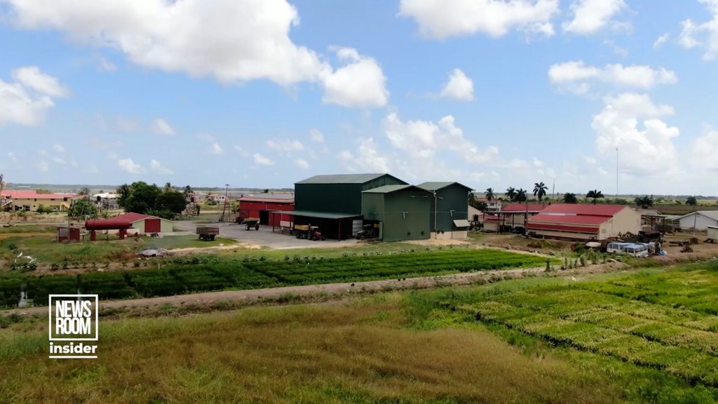 New $21 million lab for Rice Research Station - News Room Guyana