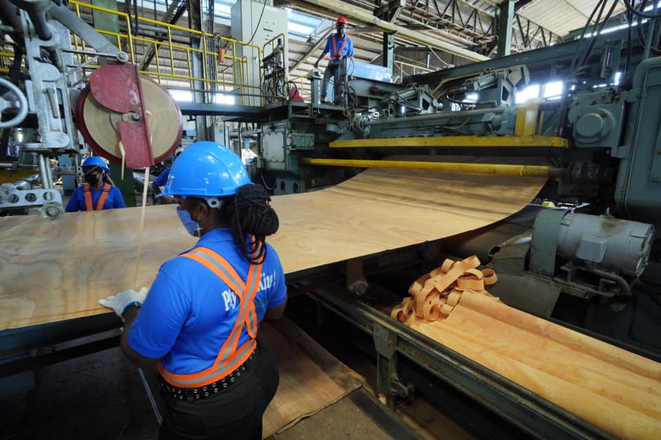 Barama ‘bouncing back’ with $1B investment in expansion; eyes return to ...