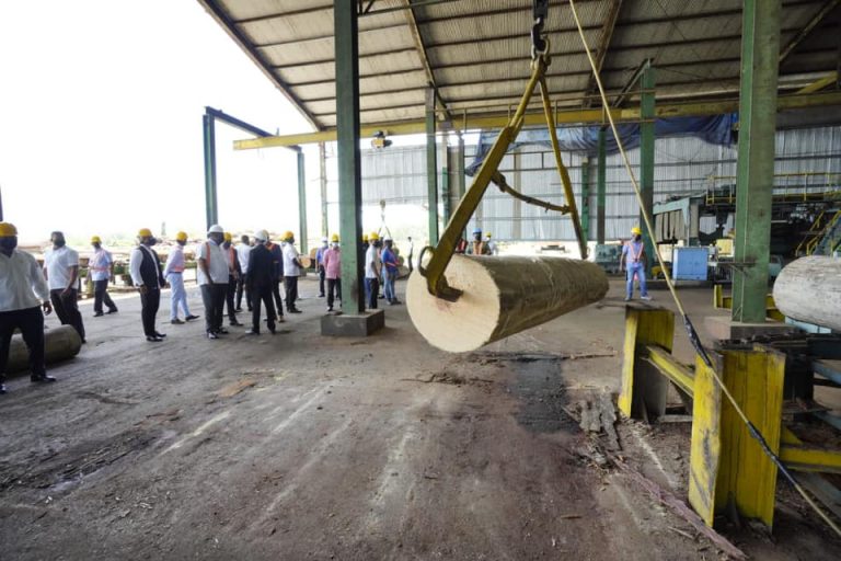 Barama ‘bouncing back’ with $1B investment in expansion; eyes return to ...