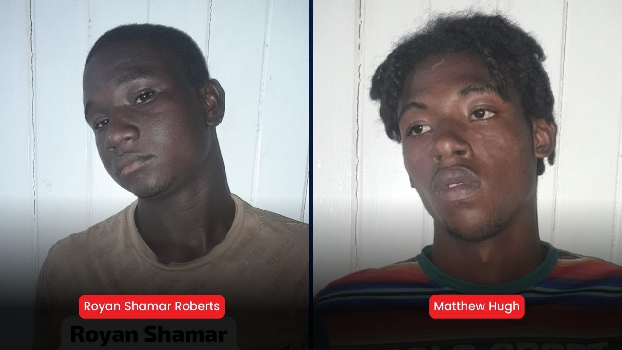 East Coast duo charged with stealing cow, goat - News Room Guyana
