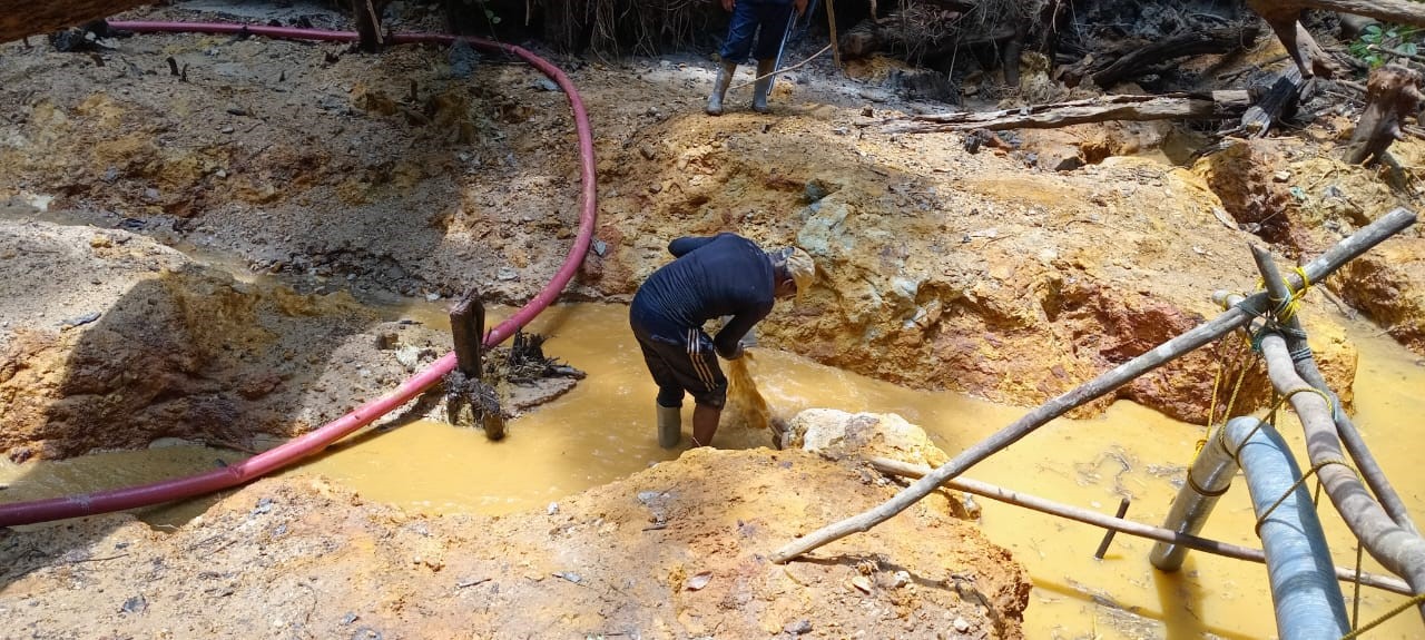 Illegal miners arrested in Iwokrama Forest - News Room Guyana