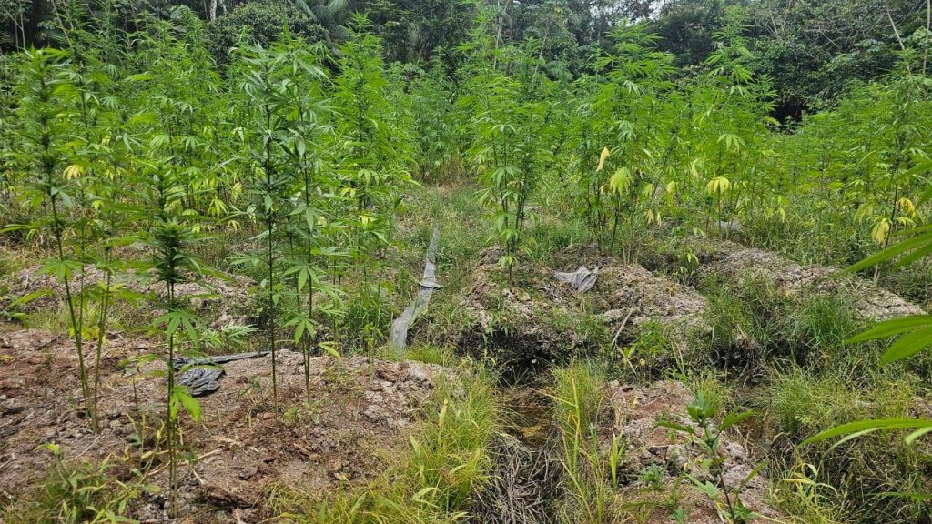 ‘This is the winning list’ – PPP/C leaders say list of candidates is a ...