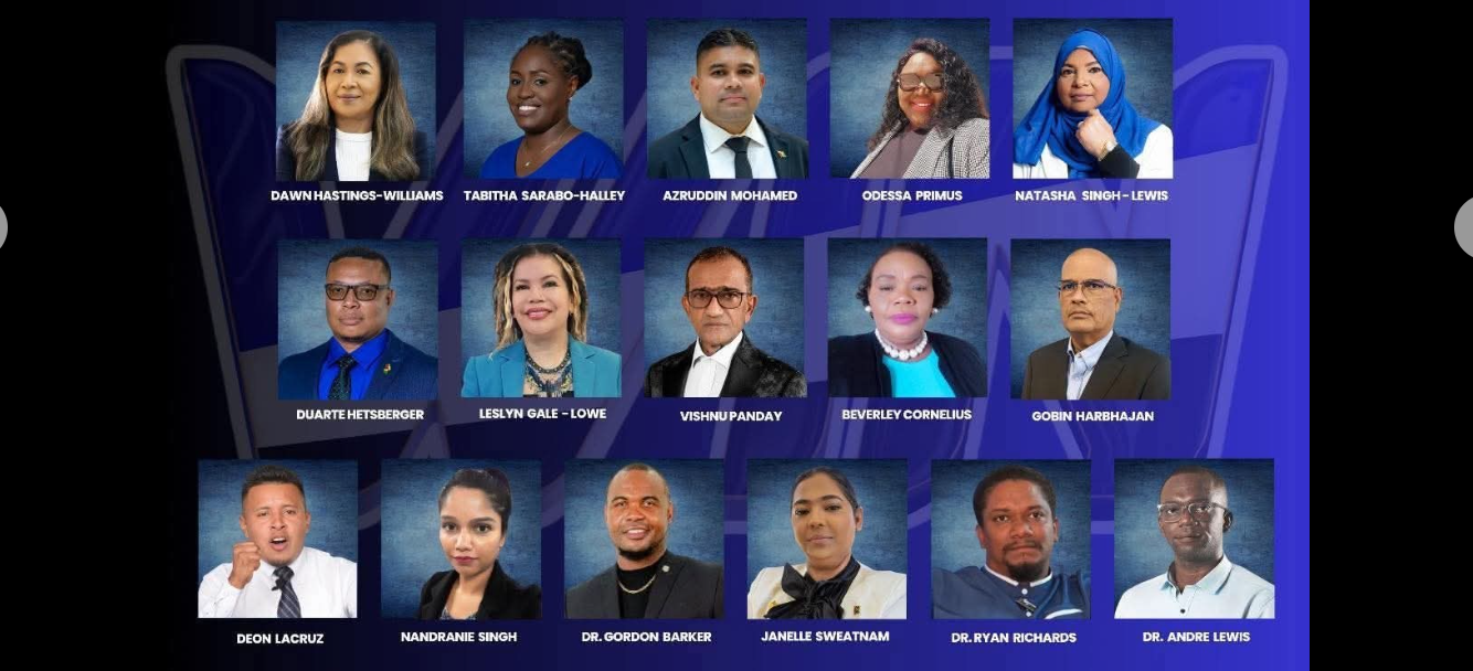 WIN's 16-member Parliamentary team could see key ally Mark France ...